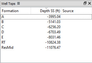 Well Data Viewer: Well Tops Tab